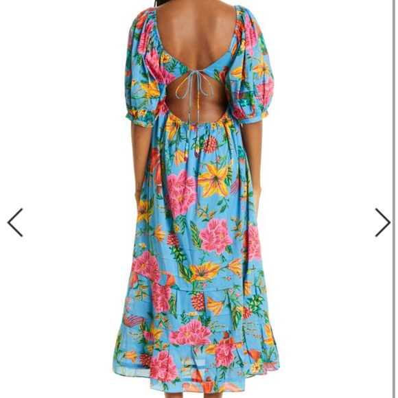 FARM Rio | Dresses | Nwt Farm Rio Blue Toucans Garden Dress | Poshmark